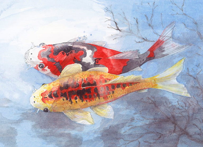 Cards - Susan Thomson Art