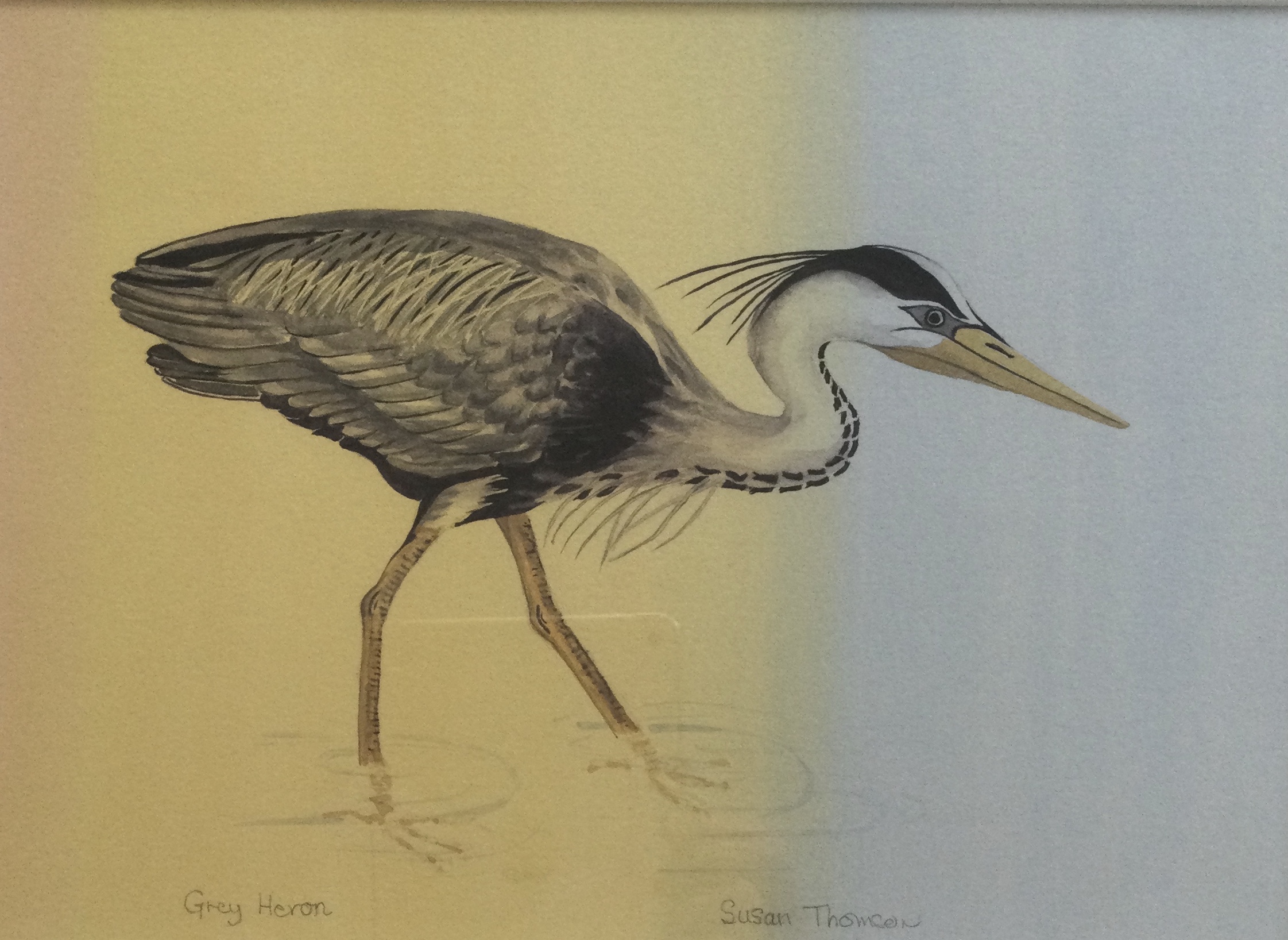 Cards - Susan Thomson Art